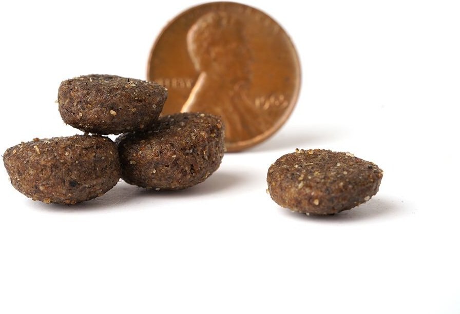 VICTOR Performance Formula Dry Dog Food (Free Shipping) | Chewy