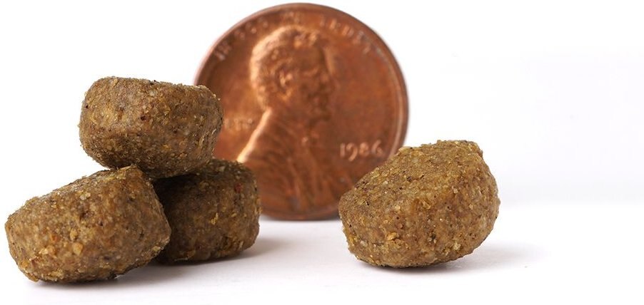 VICTOR Gluten-Free Ocean Fish Formula with Salmon Omega-3 Enriched Dry ...