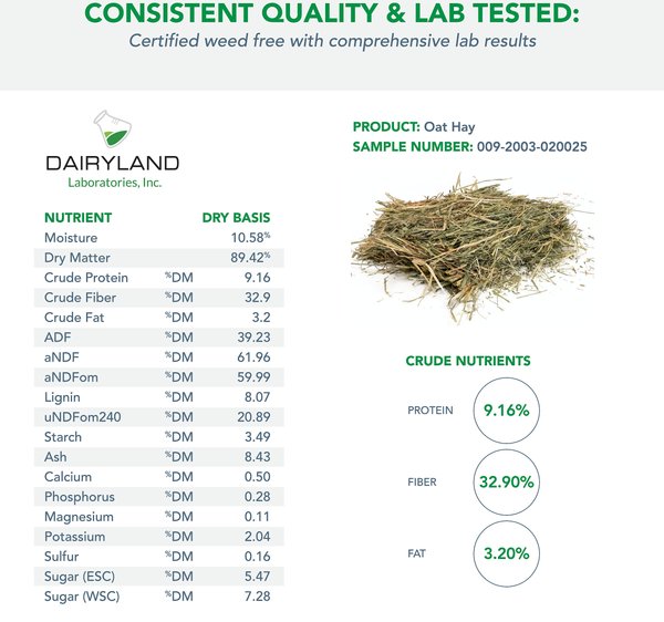 VIKING FARMER Oat Hay for Rabbits & Small Pets, 5-lb box - Chewy.com