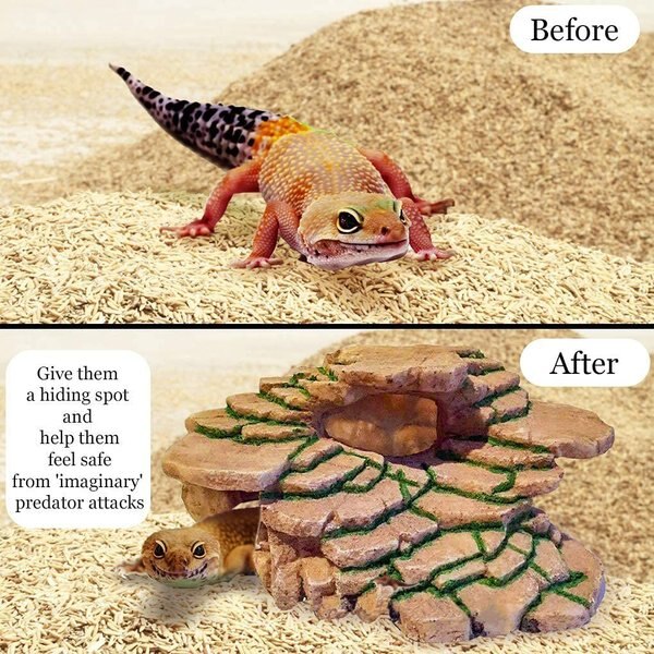 VILA Bearded Dragon & Leopard Gecko Humid Hide Resin Cave & Basking ...