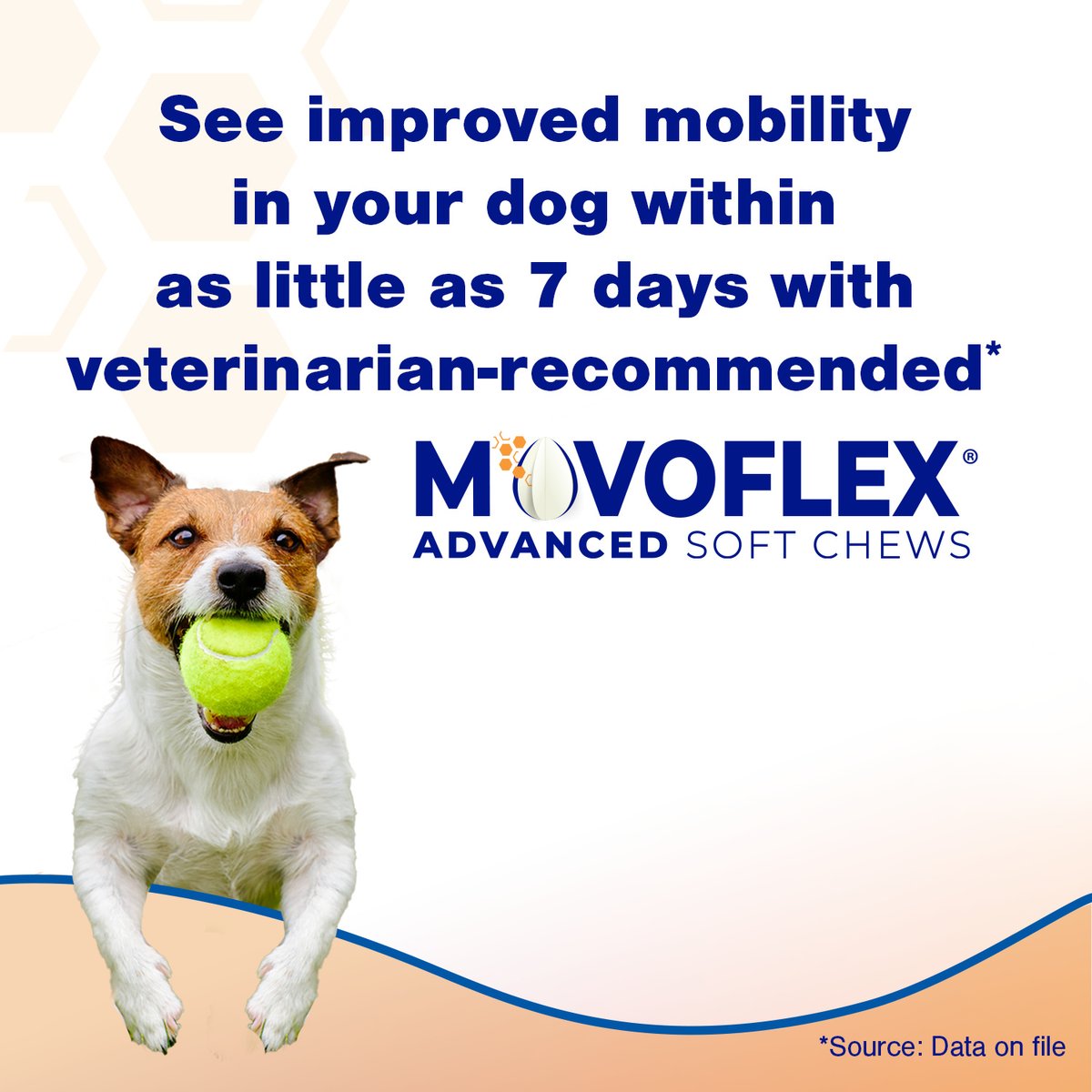VIRBAC MOVOFLEX Advanced Soft Chews Joint Supplement for Medium Breed ...