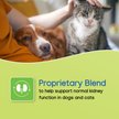 VIRBAC Nephrodyl Synbiotic Capsules for Kidney Support for Dogs & Cats ...