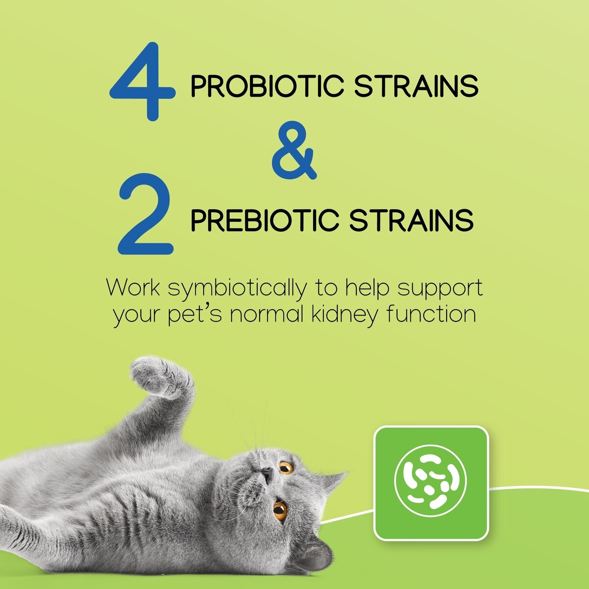 VIRBAC Nephrodyl Synbiotic Capsules for Kidney Support for Dogs & Cats ...