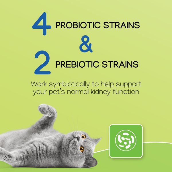 VIRBAC Nephrodyl Synbiotic Capsules for Kidney Support for Dogs & Cats ...