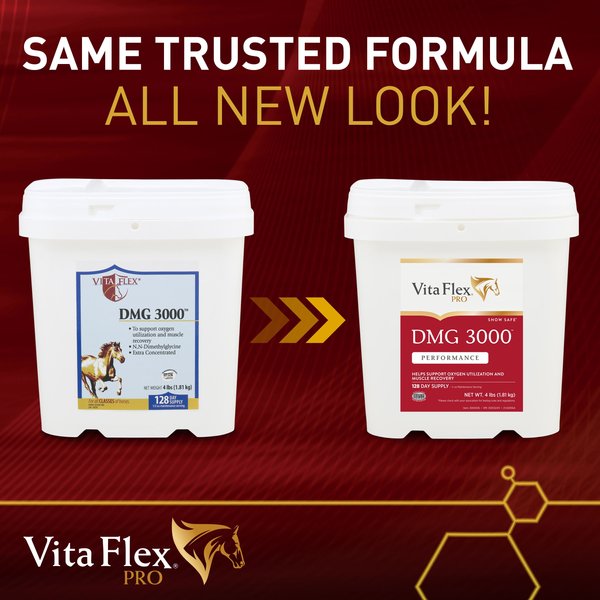 VITA FLEX PRO DMG 3000 DMG Concentrate Horse Supplement, 4-lb bag ...