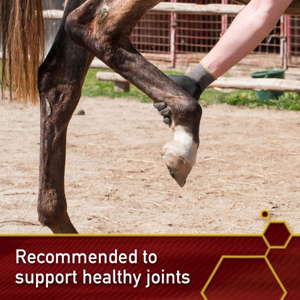 Out of Stock - VITA FLEX PRO MSM Ultra Pure Joint Support Granules Dog ... Out of Stock - VITA FLEX PRO MSM Ultra Pure Joint Support Granules Dog ...