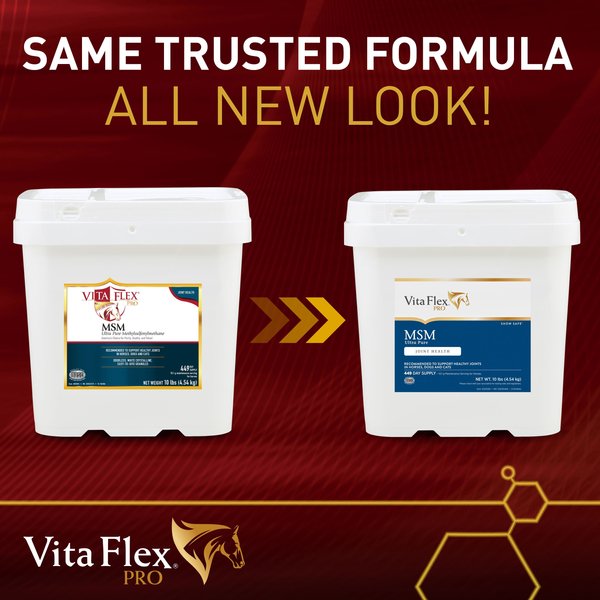 Discontinued - VITA FLEX PRO MSM Ultra Pure Joint Support Powder Dog ...