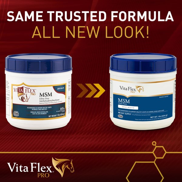 Discontinued - VITA FLEX PRO MSM Ultra Pure Joint Support Powder Dog ...