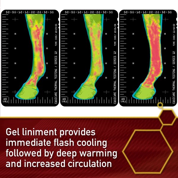 VITA FLEX PRO Thermaflex Liniment Gel for Sore Muscles & Joint Relief ...