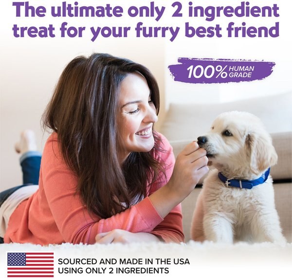 VITAFUR Barkin Burger Bison & Pumpkin Dog Treat, 4-oz bag - Chewy.com