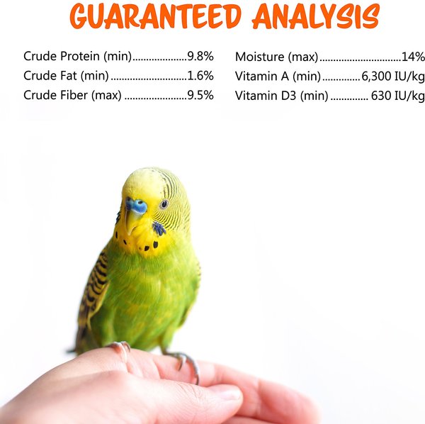 VITAKRAFT Triple Baked Crunch Sticks Orange & Apricot Flavor Parakeet ...