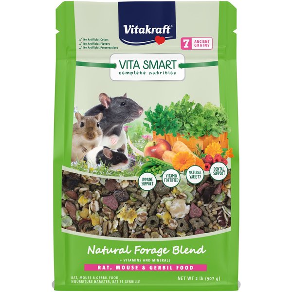 Best Mouse Foods 2026: According to Reviews | Chewy