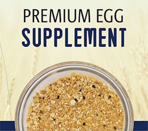 VITAKRAFT VitaSmart Egg Food Daily Calcium Supplement for Birds, 1.1-lb bag - Chewy.com