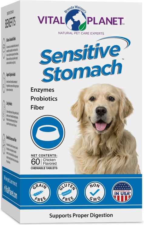 DOG DIGESTIVE HEALTH SUPPLEMENTS CHEWABLE TABLET (Free Shipping) | Chewy