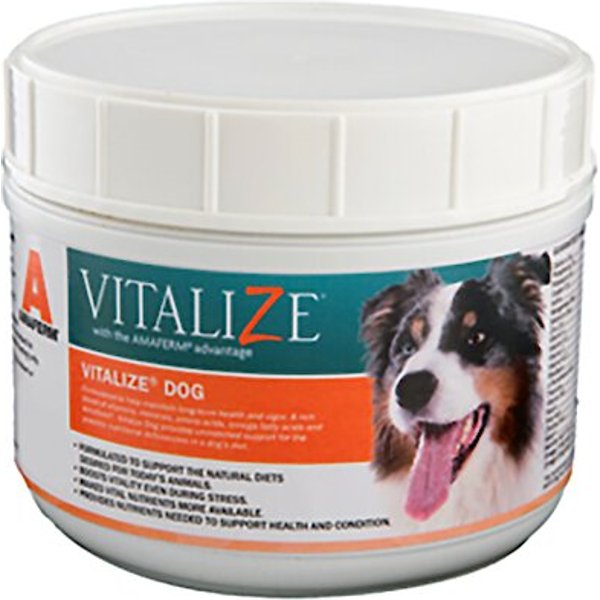 NATURE'S FARMACY Dogzymes Probiotic Max Dog Supplement, 1-lb jar ...