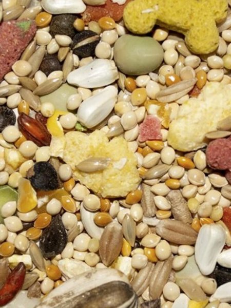 VOLKMAN Featherglow Small Hookbill Bird Food, 4-lb - Chewy.com