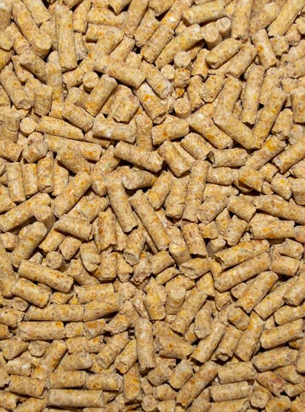 VOLKMAN Winner's Cup Breeder Pellets Pigeon Food, 40-lb - Chewy.com