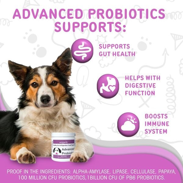 WAGGEDY Advanced Probiotics Beef Flavored Powder Digestive Aid for Dogs ...