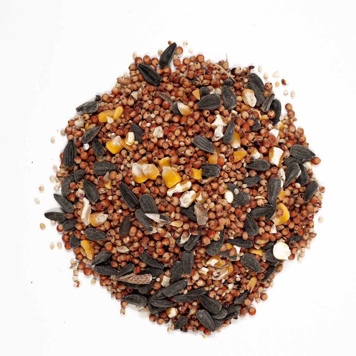 WAGNER'S Farmer's Delight Wild Bird Food, 10-lb bag - Chewy.com