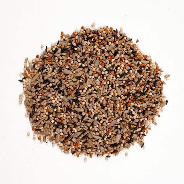 WAGNER'S Finches Supreme Premium Wild Bird Food, 5-lb bag - Chewy.com