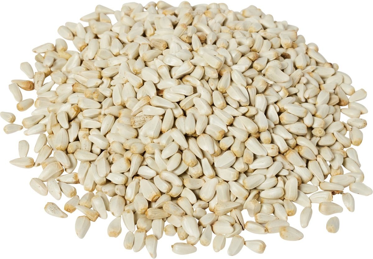 WAGNER'S Safflower Seed Premium Wild Bird Food, 5-lb bag - Chewy.com