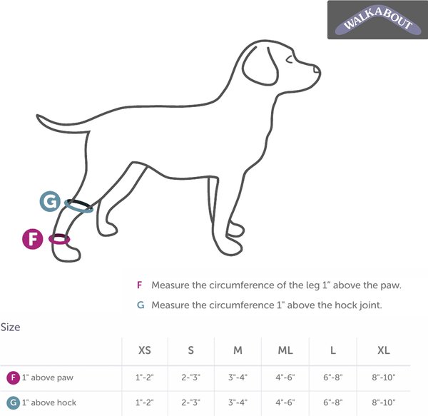 WALKABOUT Hock Support Dog & Cat Brace, Small - Chewy.com