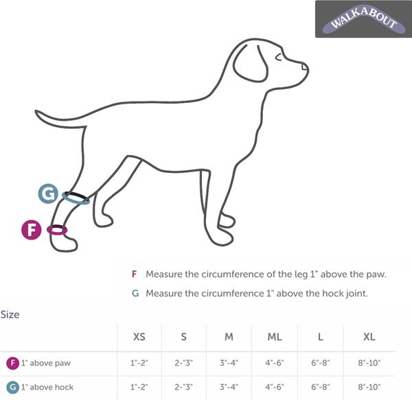 WALKABOUT Hock Support Dog & Cat Brace, X-Large - Chewy.com