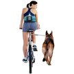 Walky Dog Plus Bicycle Exercise Dog Leash (Free Shipping) | Chewy