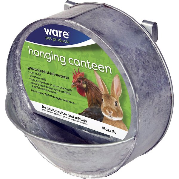 LITTLE GIANT Double Wall Metal Poultry Fount, 2-gal - Chewy.com