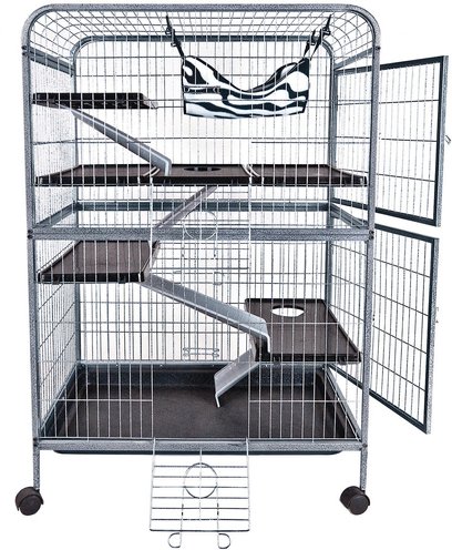 Ferret Cages | Chewy