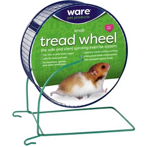 KAYTEE Critter Cruiser Small Animal Exercise Wheel, Color Varies, Small ...