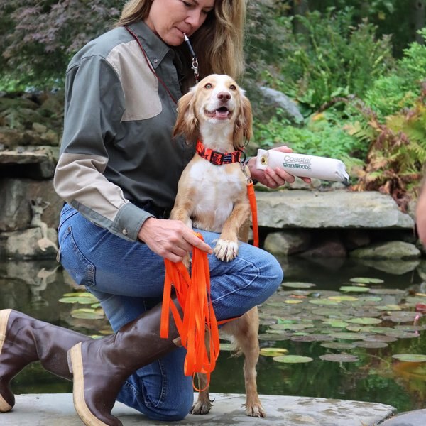 WATER & WOODS Nylon Dog Check Cord - Chewy.com