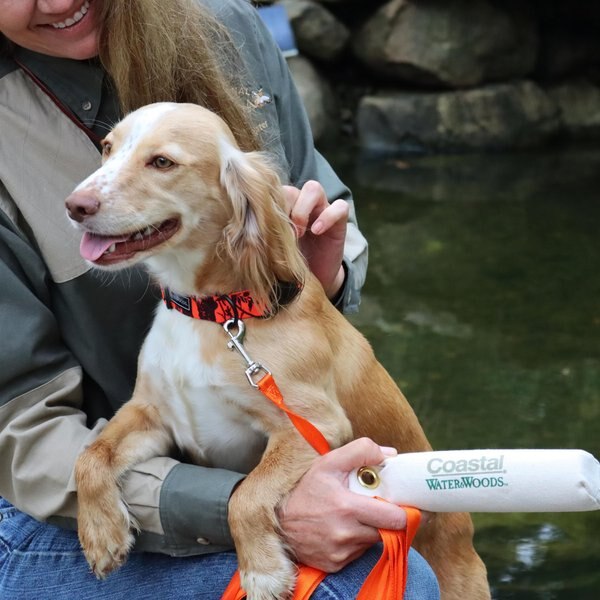 WATER & WOODS Nylon Dog Check Cord - Chewy.com