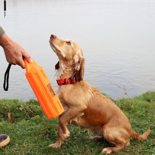 WATER & WOODS Vinyl Dog Training Dummies, Orange, 12 x 3-in - Chewy.com