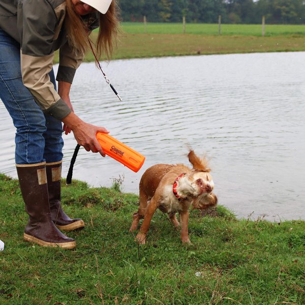WATER & WOODS Vinyl Dog Training Dummies, Orange, 12 x 3-in - Chewy.com