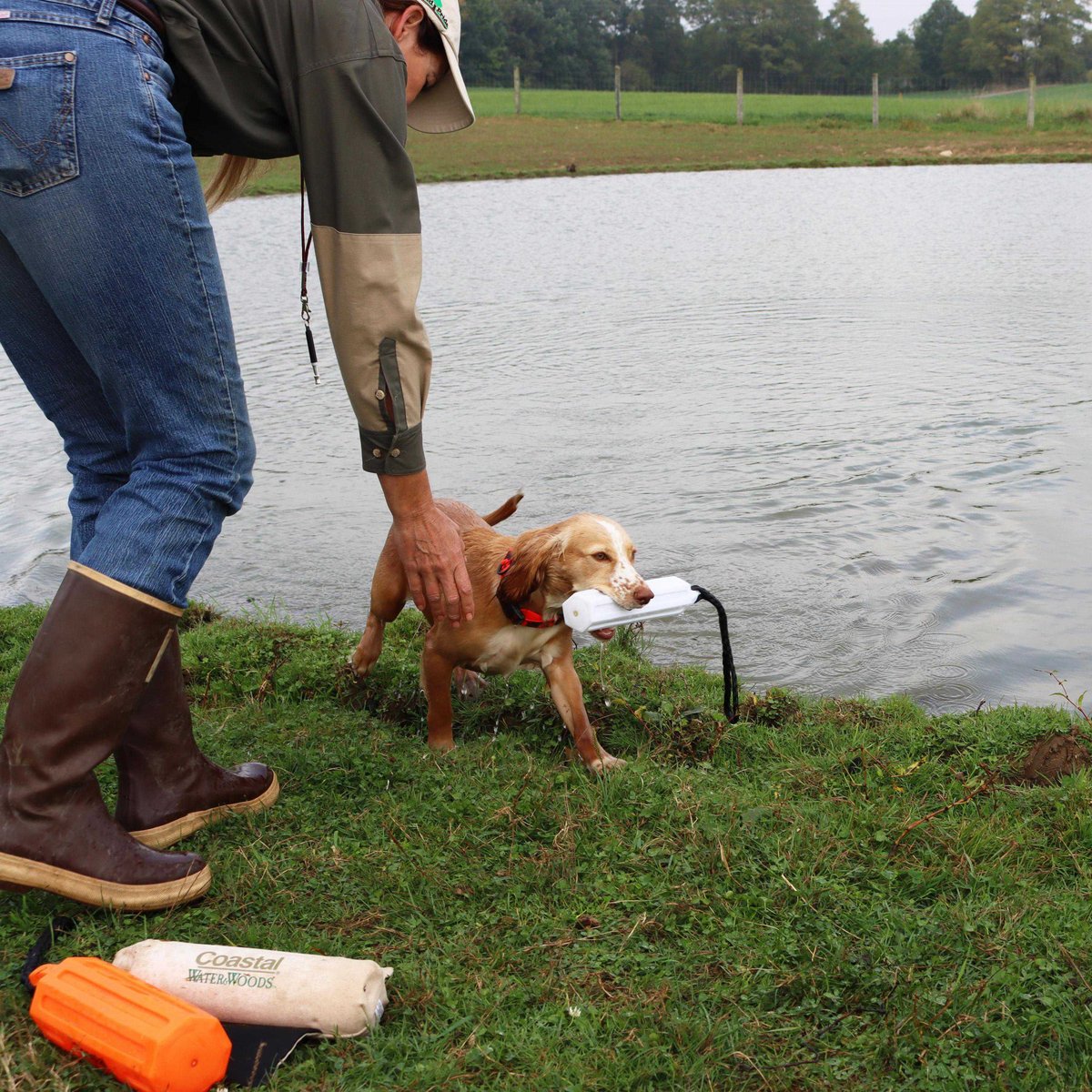 WATER & WOODS Vinyl Dog Training Dummies, White, 11 x 2-in - Chewy.com