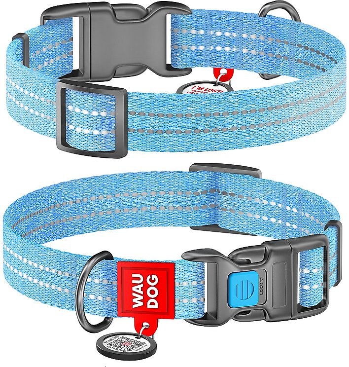MEDIUM DOG COLLARS (Free Shipping) | Chewy