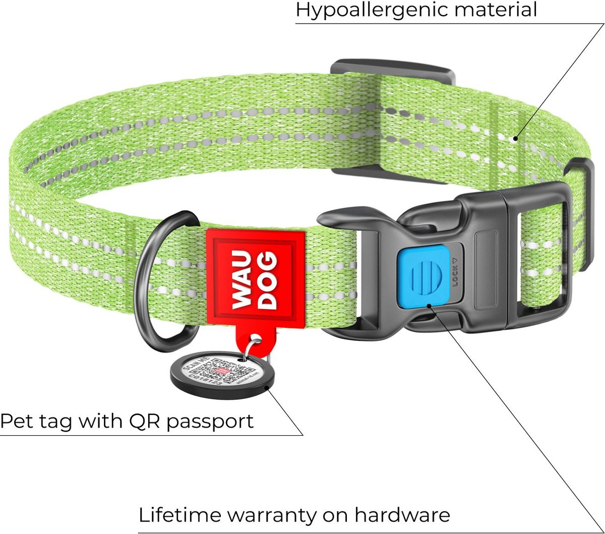 WAUDOG QR Passport Cotton Dog Collar, Lime Green, Medium - Chewy.com