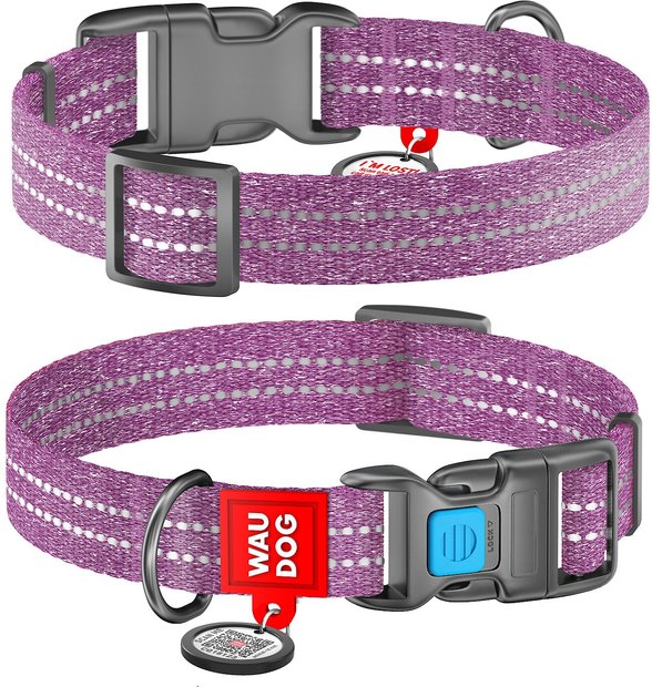 COLLARS FOR EXTRA LARGE & GIANT DOGS (Free Shipping) | Chewy