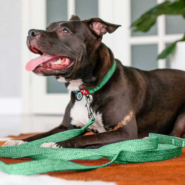 WAUDOG Reflective Cotton Dog Leash, Green, Medium/Large, 6.5-ft - Chewy.com