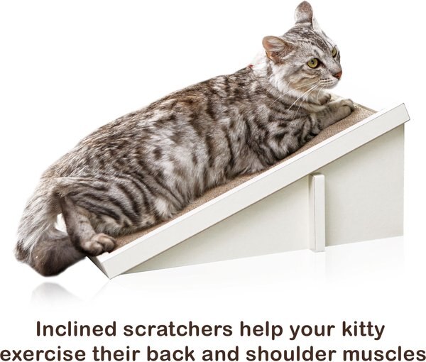 Out of Stock - WAY BASICS zBoard Paperboard Incline Scratcher Cat Toy ...