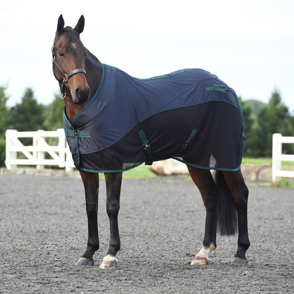 TUFFRIDER Hybrid Standard Neck Horse Cooler Sheet, Navy, 72-in - Chewy.com