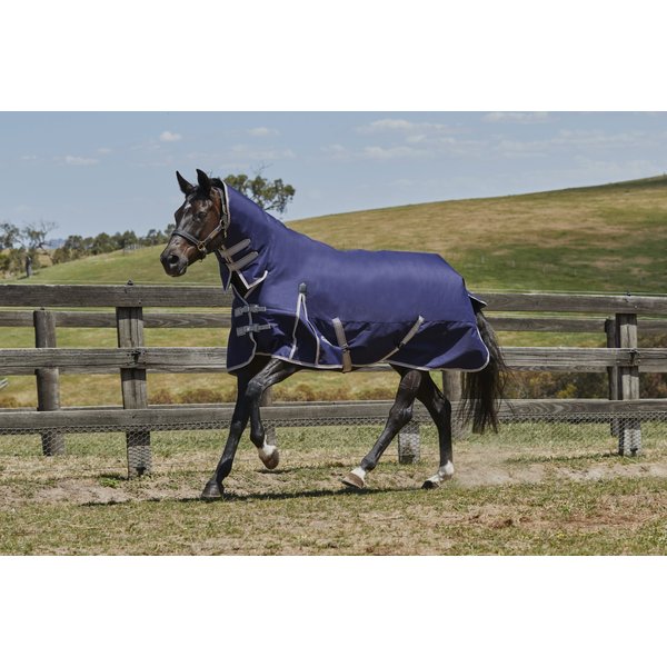 FARNAM SuperMask II Horse Fly Mask Classic Collection, Color Varies, X ...