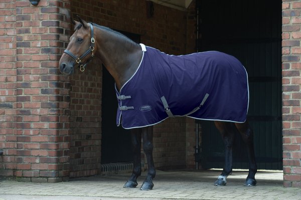 WEATHERBEETA Cotton Show Sheet with Surcingles II Standard Neck, Dark ...