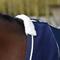 Discontinued - WEATHERBEETA Opulence Show Sheet Standard Neck Horse ...
