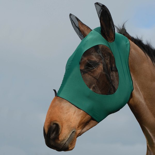 HORZE Soft Stretch Horse Fly Mask, Light Green, Cob - Chewy.com