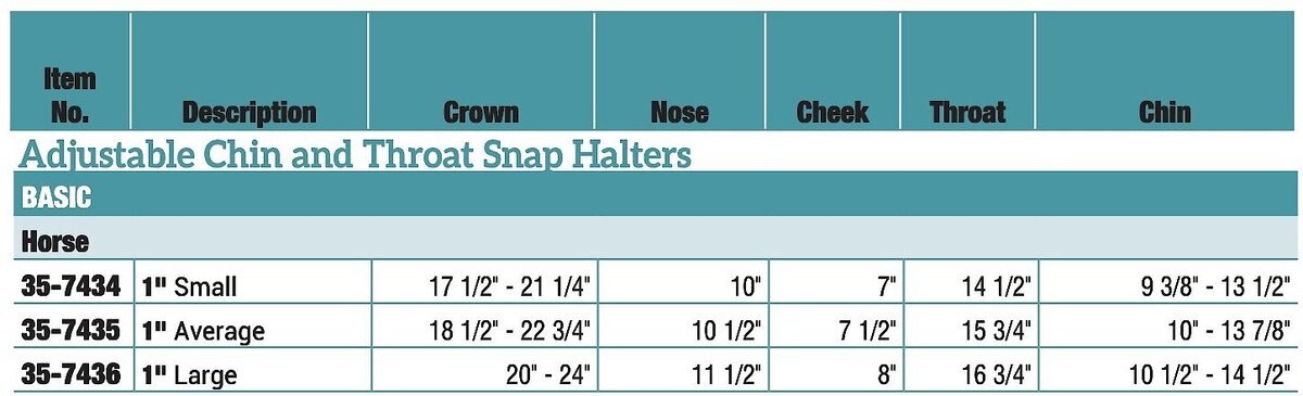 WEAVER EQUINE Basic Adjustable Nylon Horse Halter, Blue, Large - Chewy.com