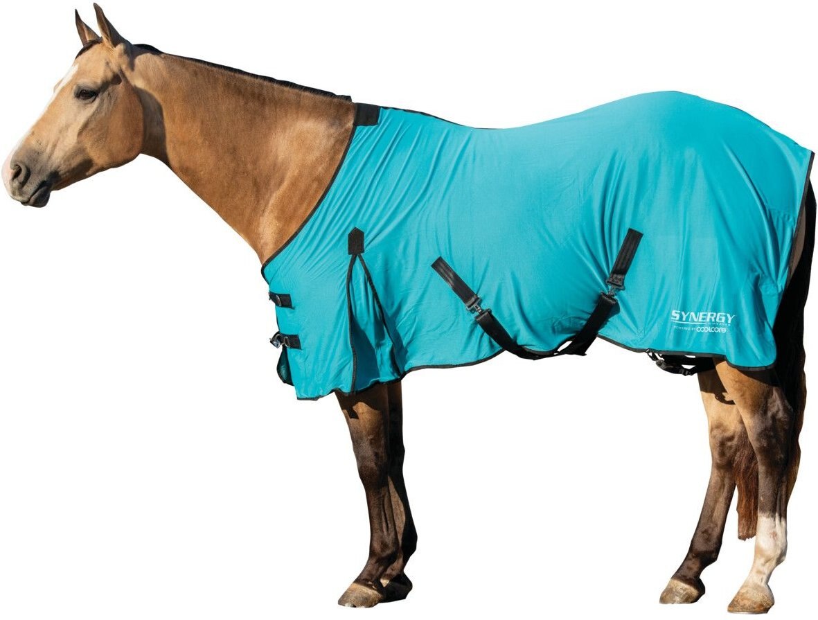 Out of Stock - WEAVER EQUINE Cooling Horse Blanket, Turquoise, 72-in ...