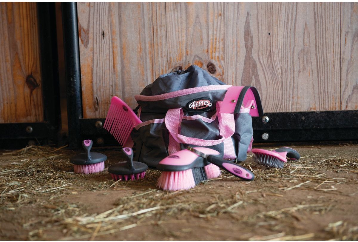 WEAVER EQUINE Horse Grooming Kit, Grey/Pink - Chewy.com