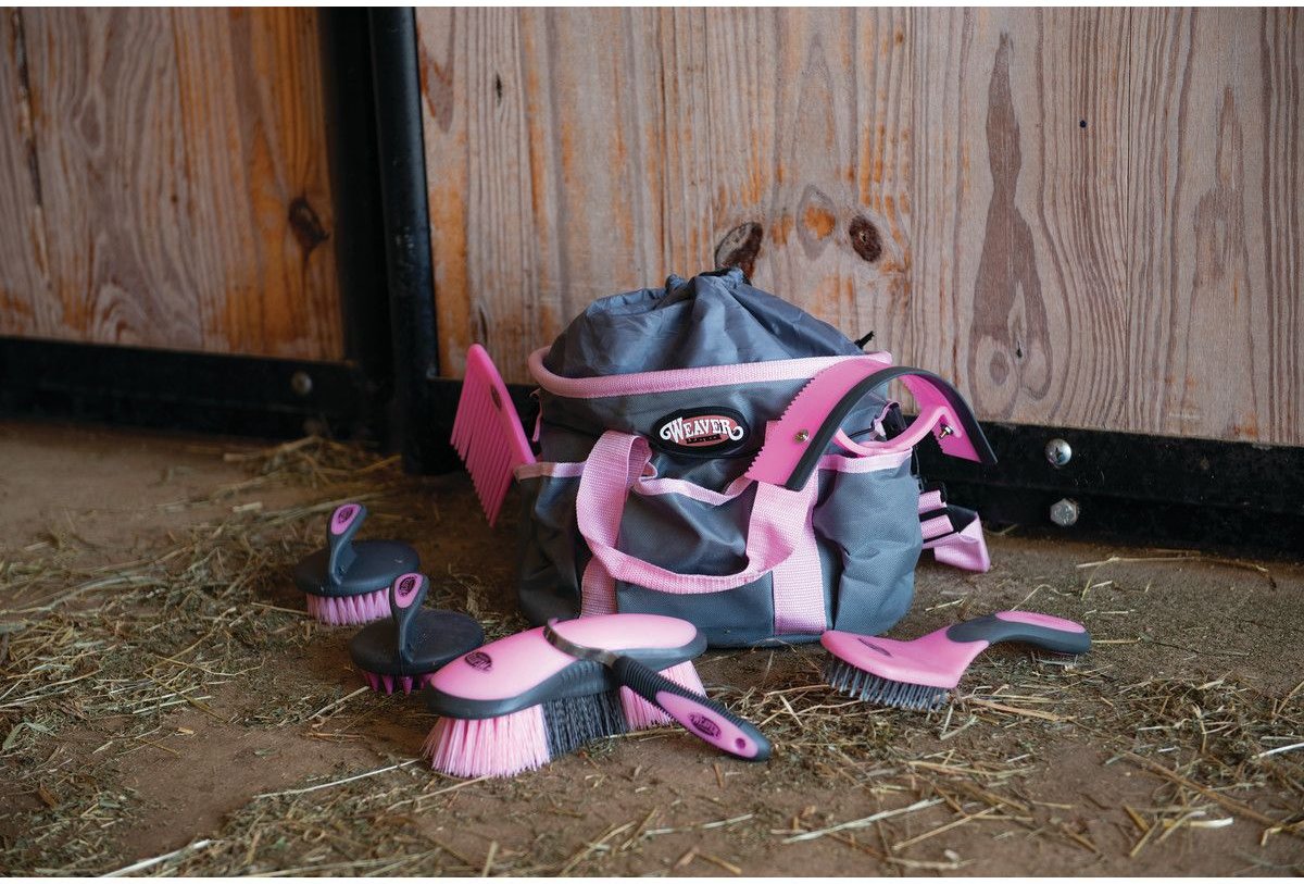 WEAVER EQUINE Horse Grooming Kit, Grey/Pink - Chewy.com